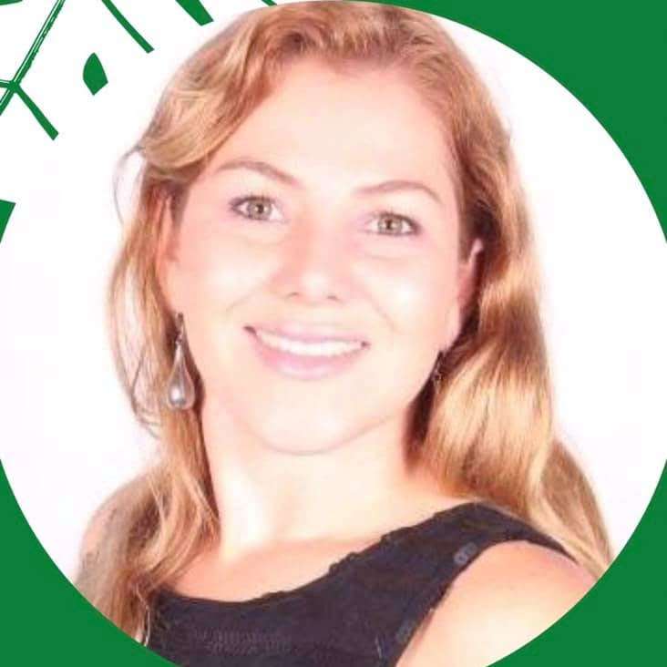 I came, I saw, and I won: a successful Brazilian in America. The story ...